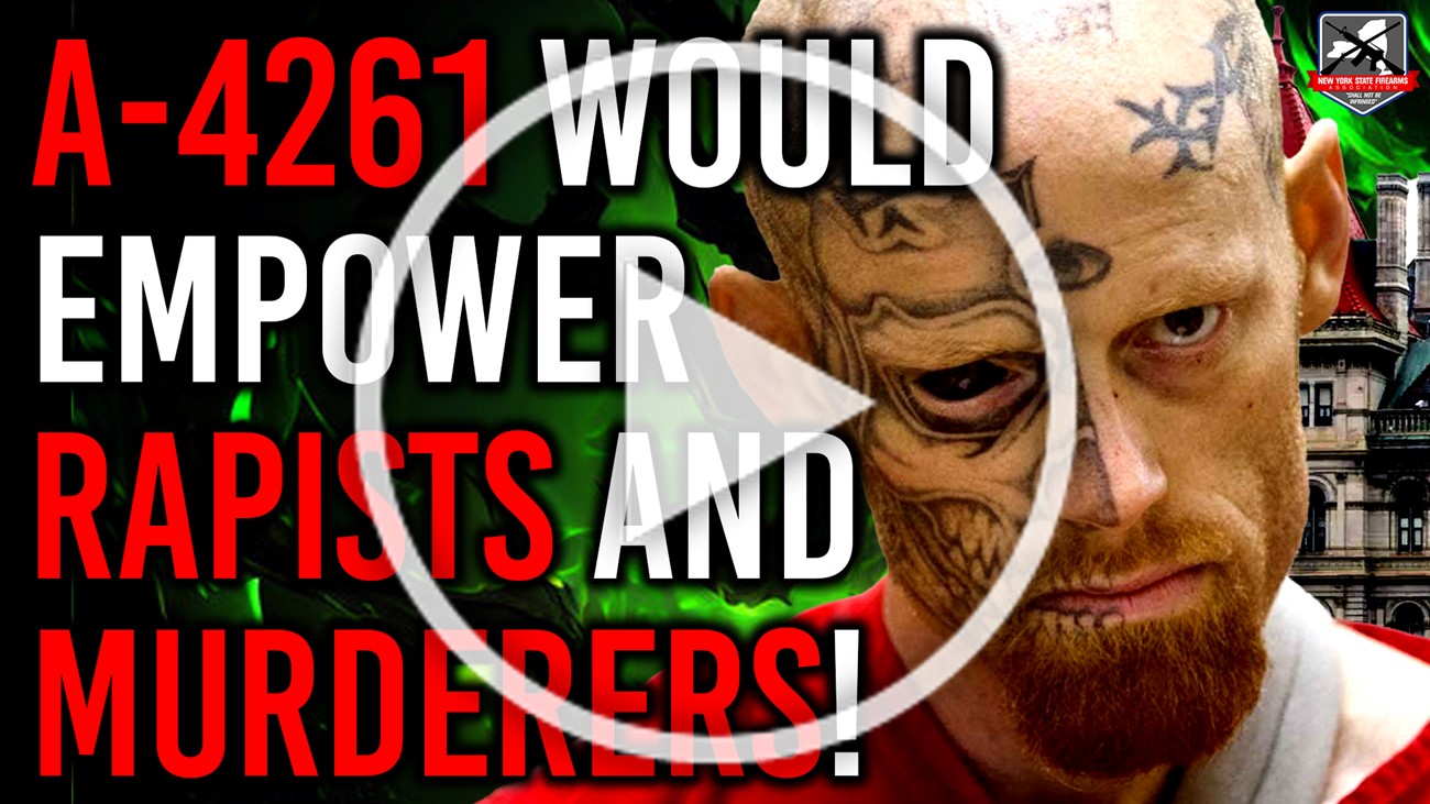 Video: Hochul's 10-Day Waiting Period Will Get People Killed! - New ...